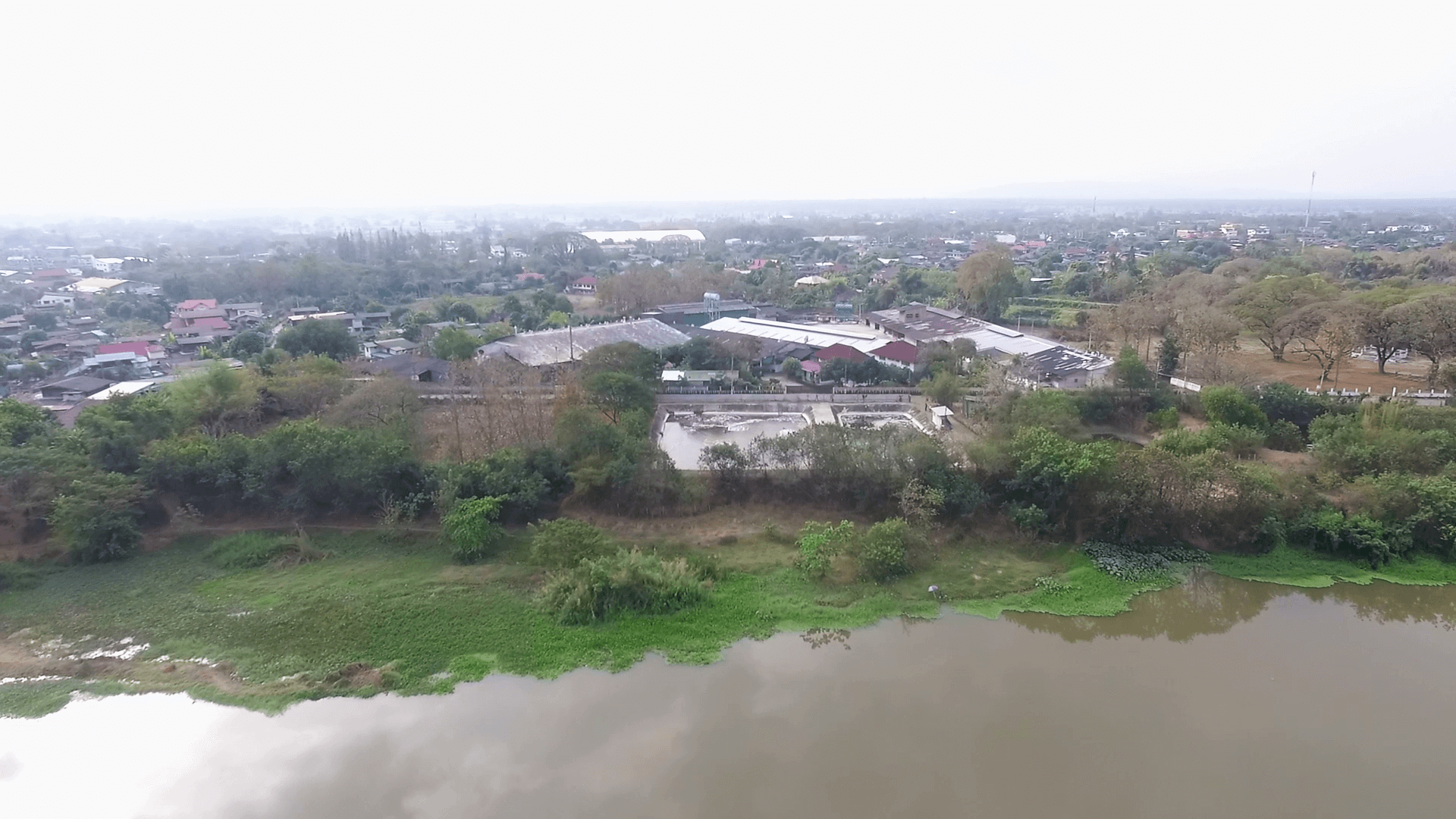 Creasia group – Shellac Thailand