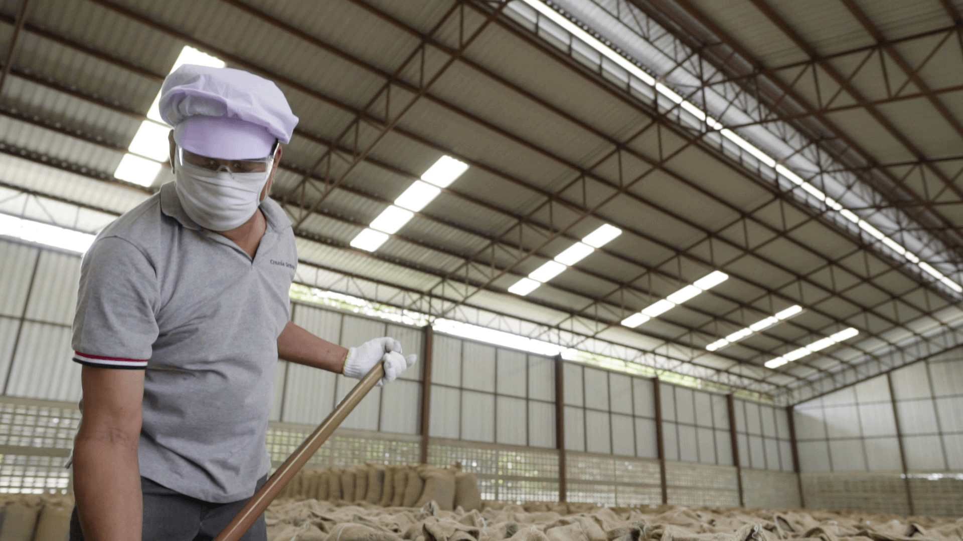 Creasia group – Shellac Thailand