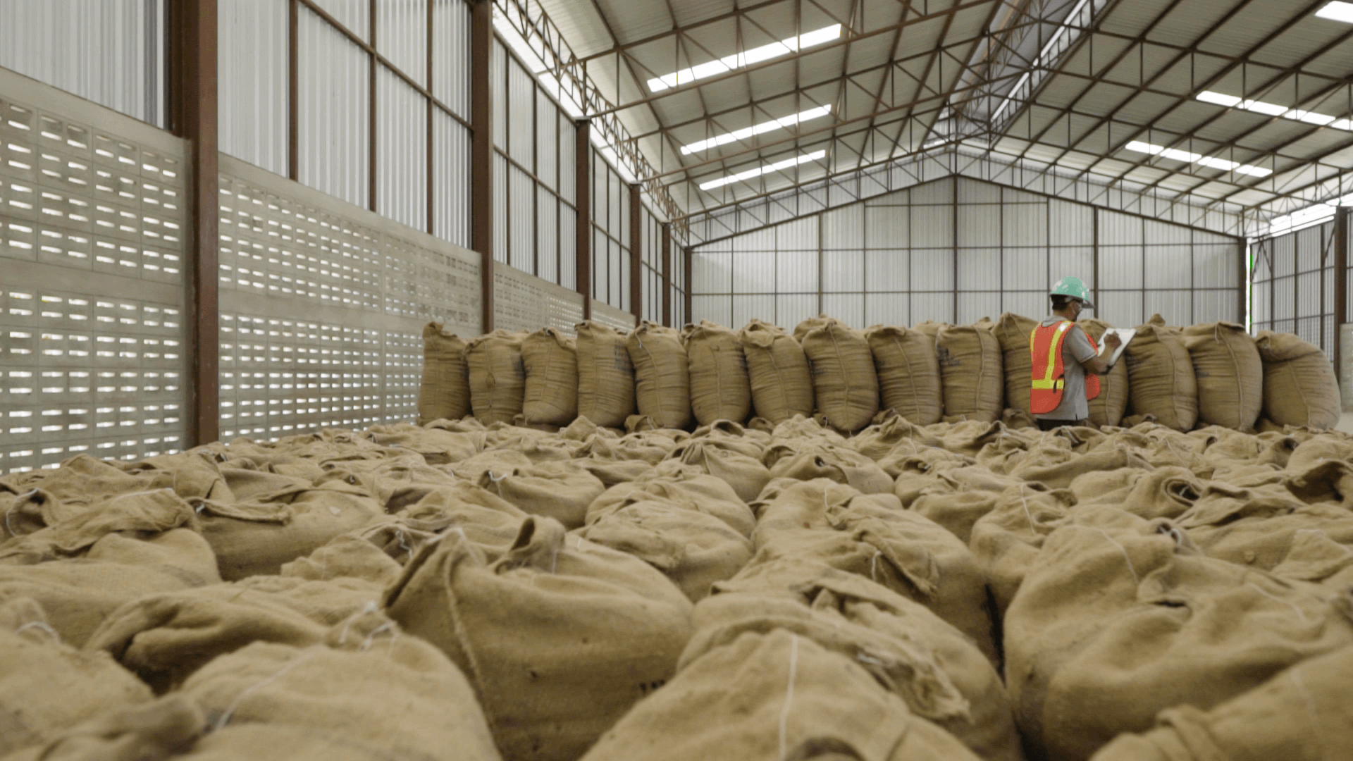 Creasia group – Shellac Thailand