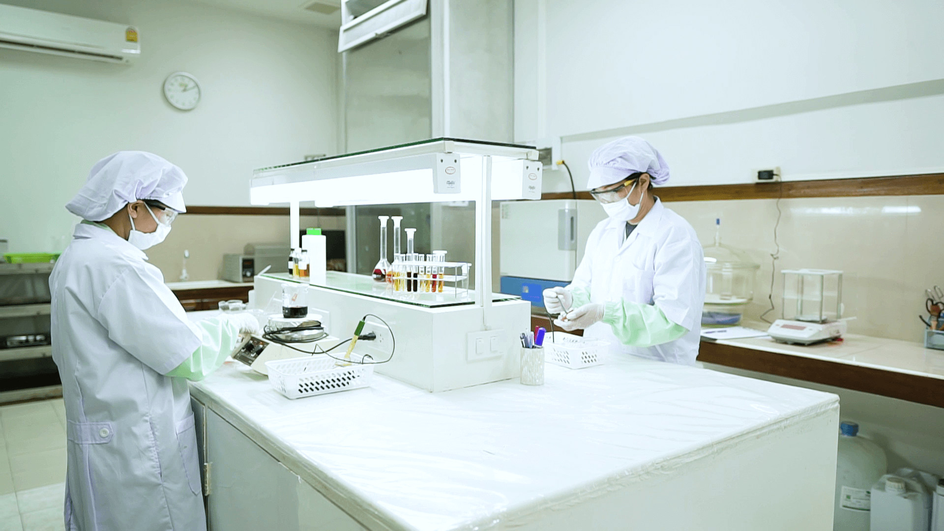 Creasia group – Shellac Thailand