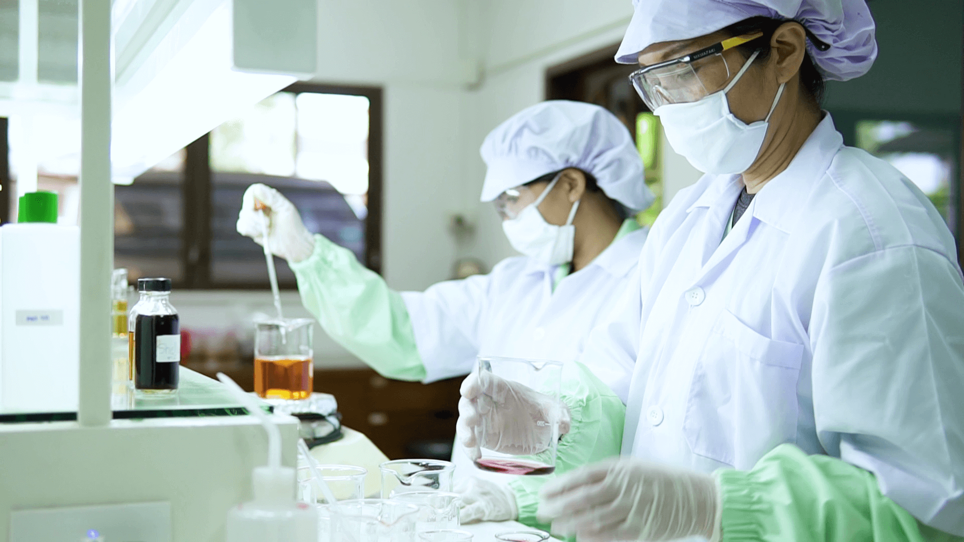 Creasia group – Shellac Thailand