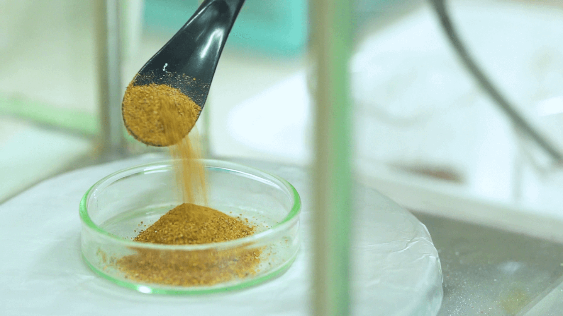 Creasia group – Shellac Thailand