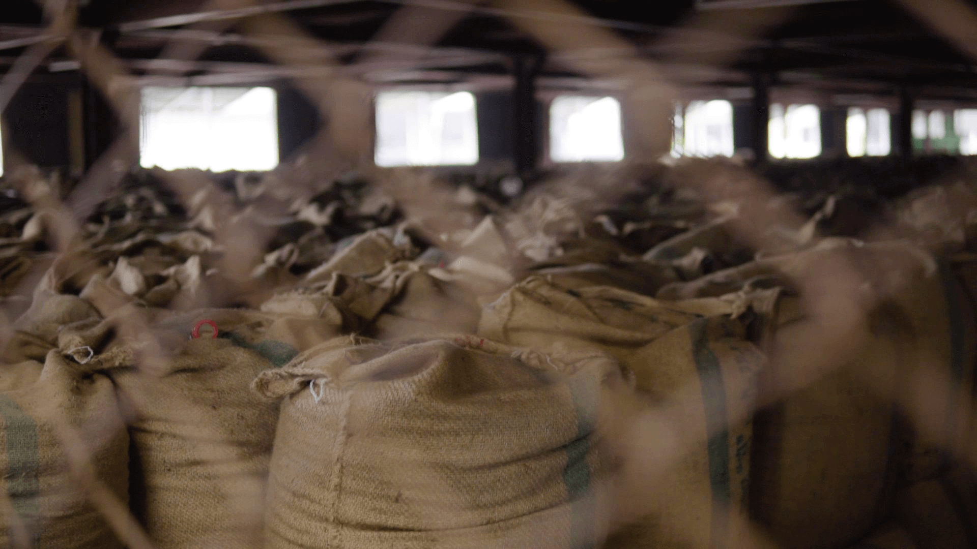 Creasia group – Shellac Thailand